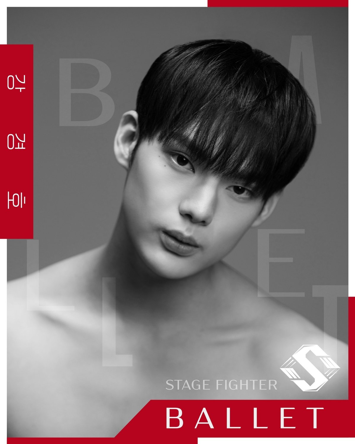 #2 日本から公式供給だけでステージファイターを楽しむ方法〜バレエダンサー紹介〜（2024.12.31更新）｜tara_stf