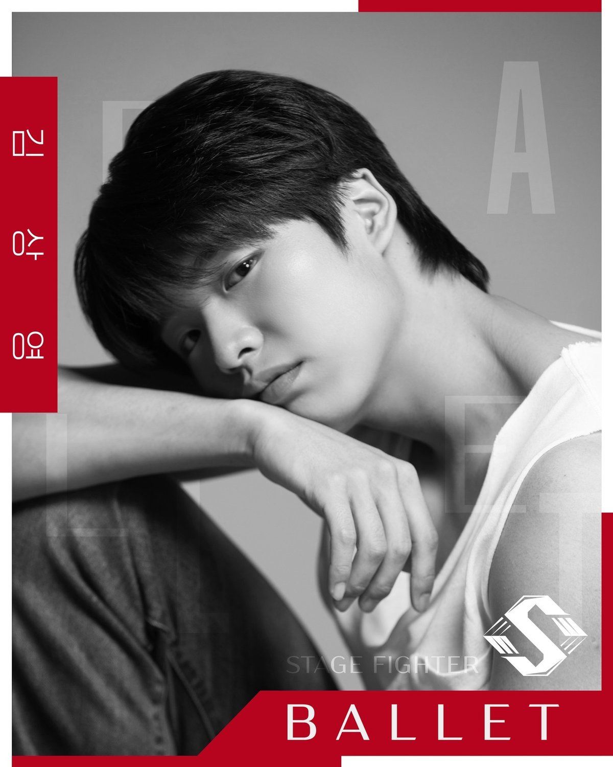 #2 日本から公式供給だけでステージファイターを楽しむ方法〜バレエダンサー紹介〜（2024.12.31更新）｜tara_stf