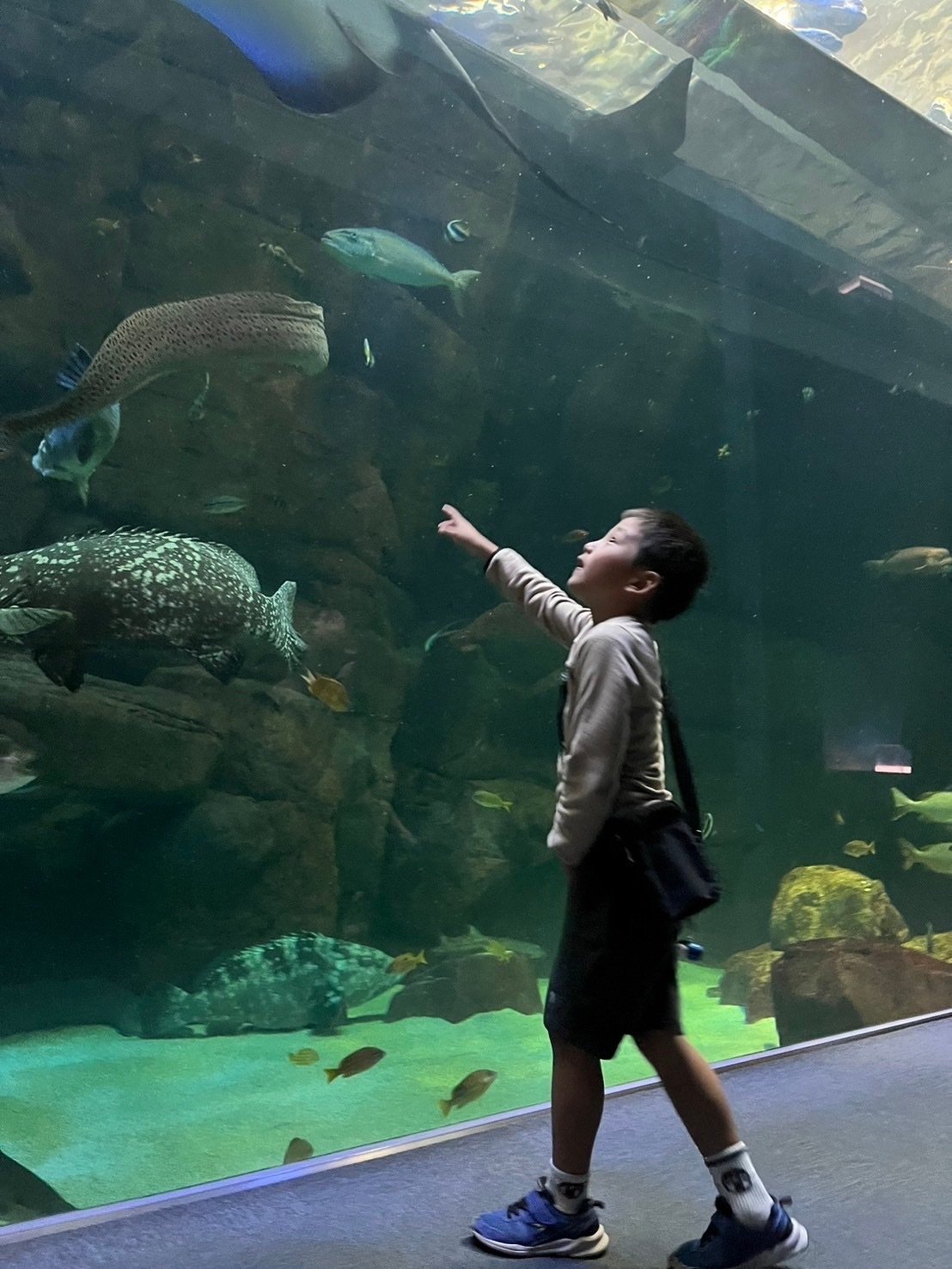 すでに無限の価値ある生命｜彩り人生🌈かまあや日記。