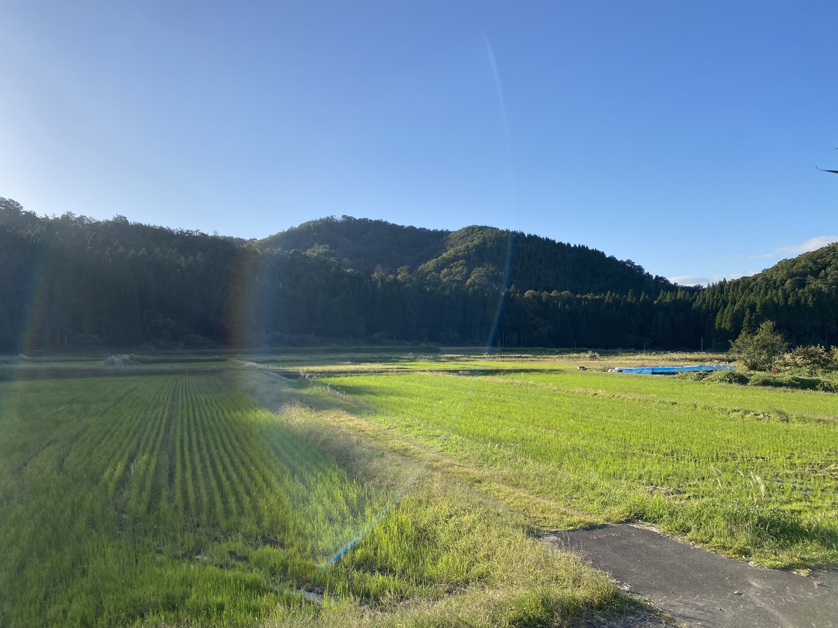 順序と環境｜WMSの気まぐれnote