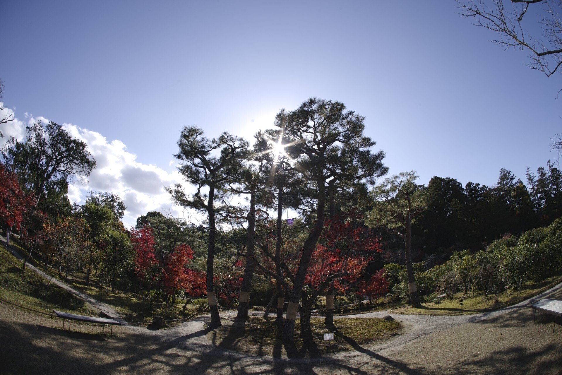 ぎょがーんin Nara (smc PENTAX-F Fish-Eye 17-28mmF3.5-4.5 ぎょがーんin Nara (smc PENTAX-F Fish-Eye 17-28mmF3.5-4.5