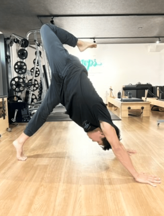 アニマルフロー とは｜wakata physio studio