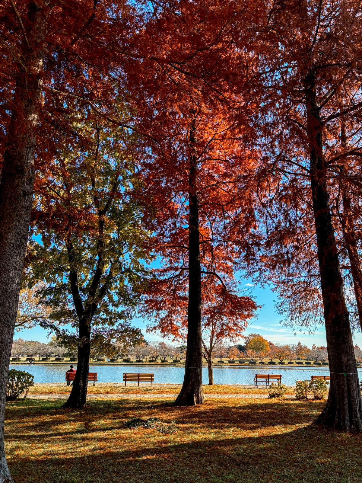 恋文、求ム｜詩＆写真｜rira