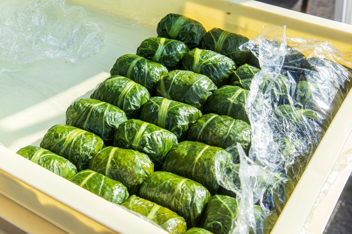 紀南シーサイドヴェロフェスタ｜孫崎大樹/DaikiMagosaki