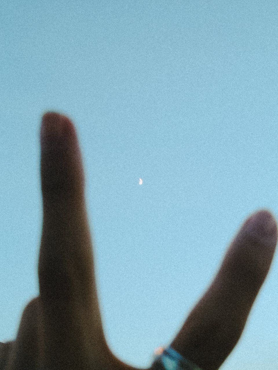 #2 オールドデジカメ専門店 Tugumi おすすめのデジカメ｜おがたく