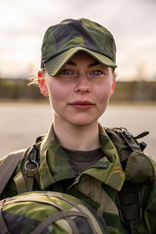 Sweden Joins NATO in 2024.｜David Parmer