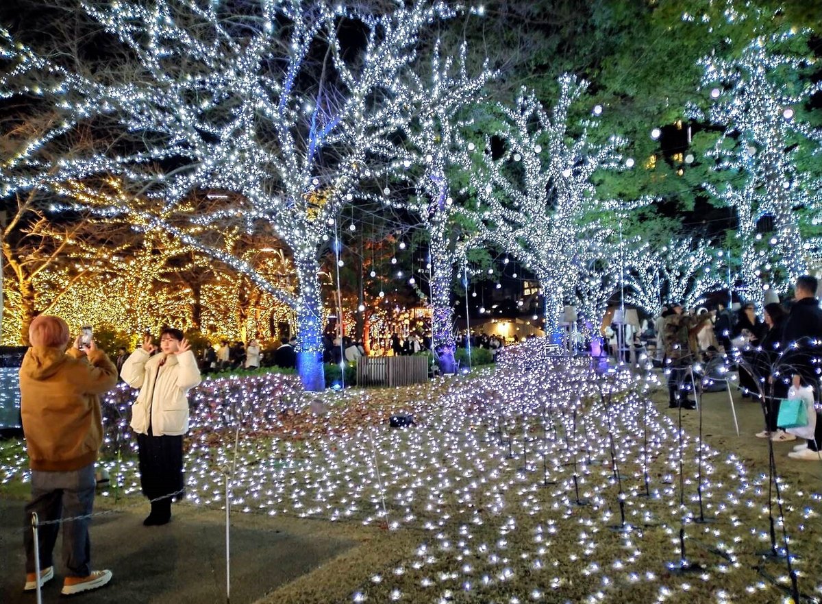 🎄【東京ミッドタウン】『MIDTOWN CHRISTMAS 2024 (ミッドタウン クリスマス 2024)』～冬のイルミネーションに行って来 ...