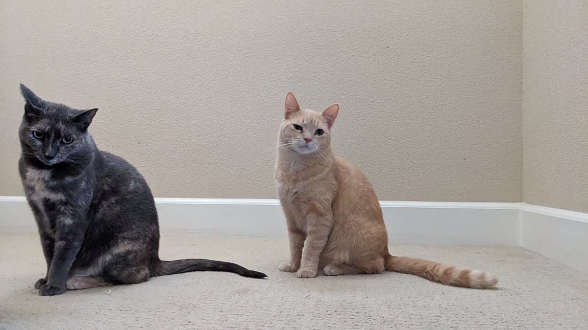 たまには一緒に｜アトリエハルコ｜atelier haruko