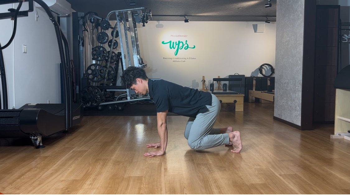 アニマルフローで体を目覚めさせる！運動不足でも簡単に始められる新習慣｜wakata physio studio