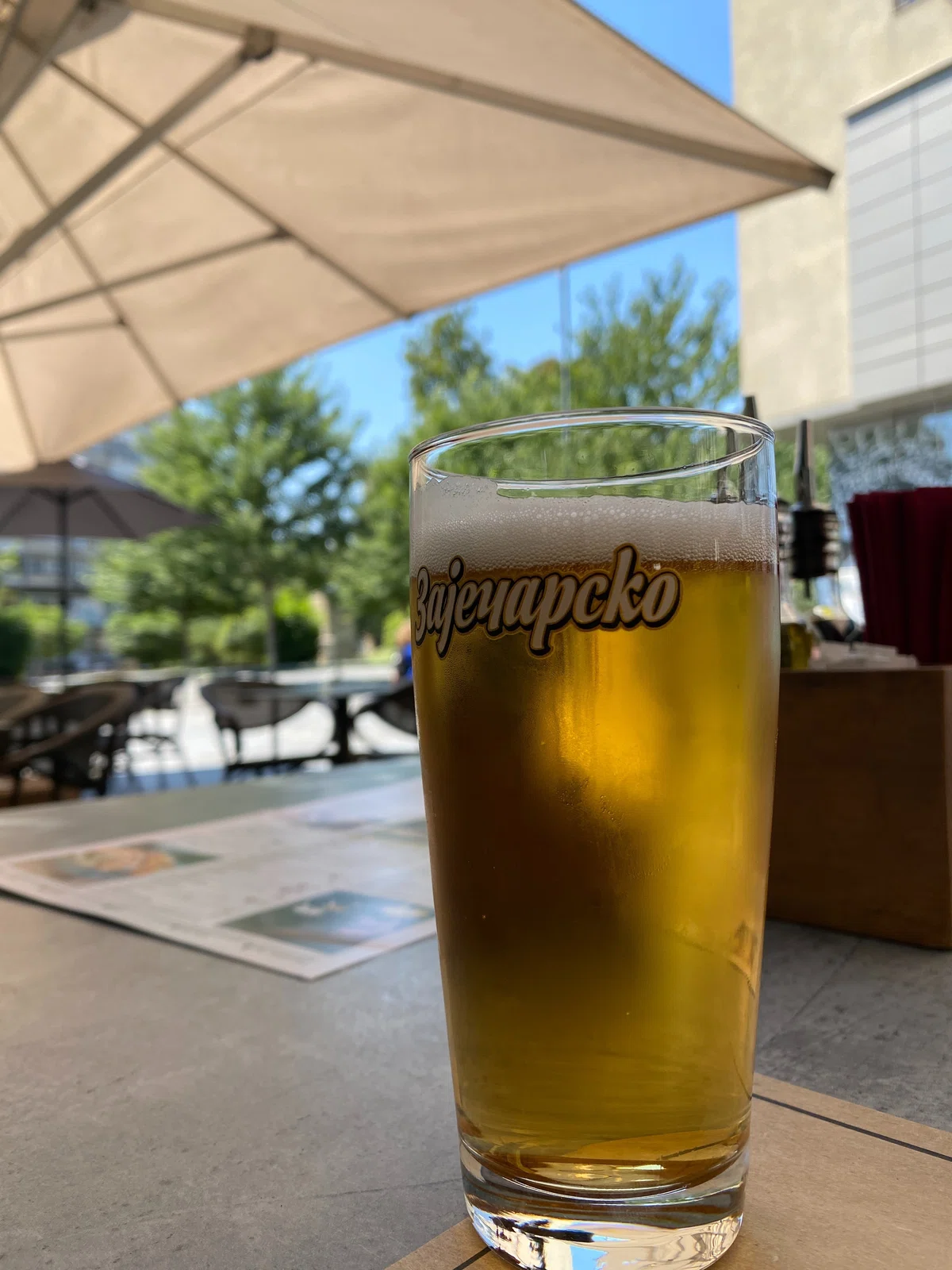 🇷🇸セルビア_食べたものとお店情報｜ピンポンポン