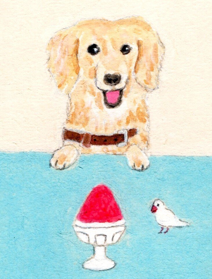 オーダー制作「うちの子イラスト」のご紹介^^｜nao kamimura