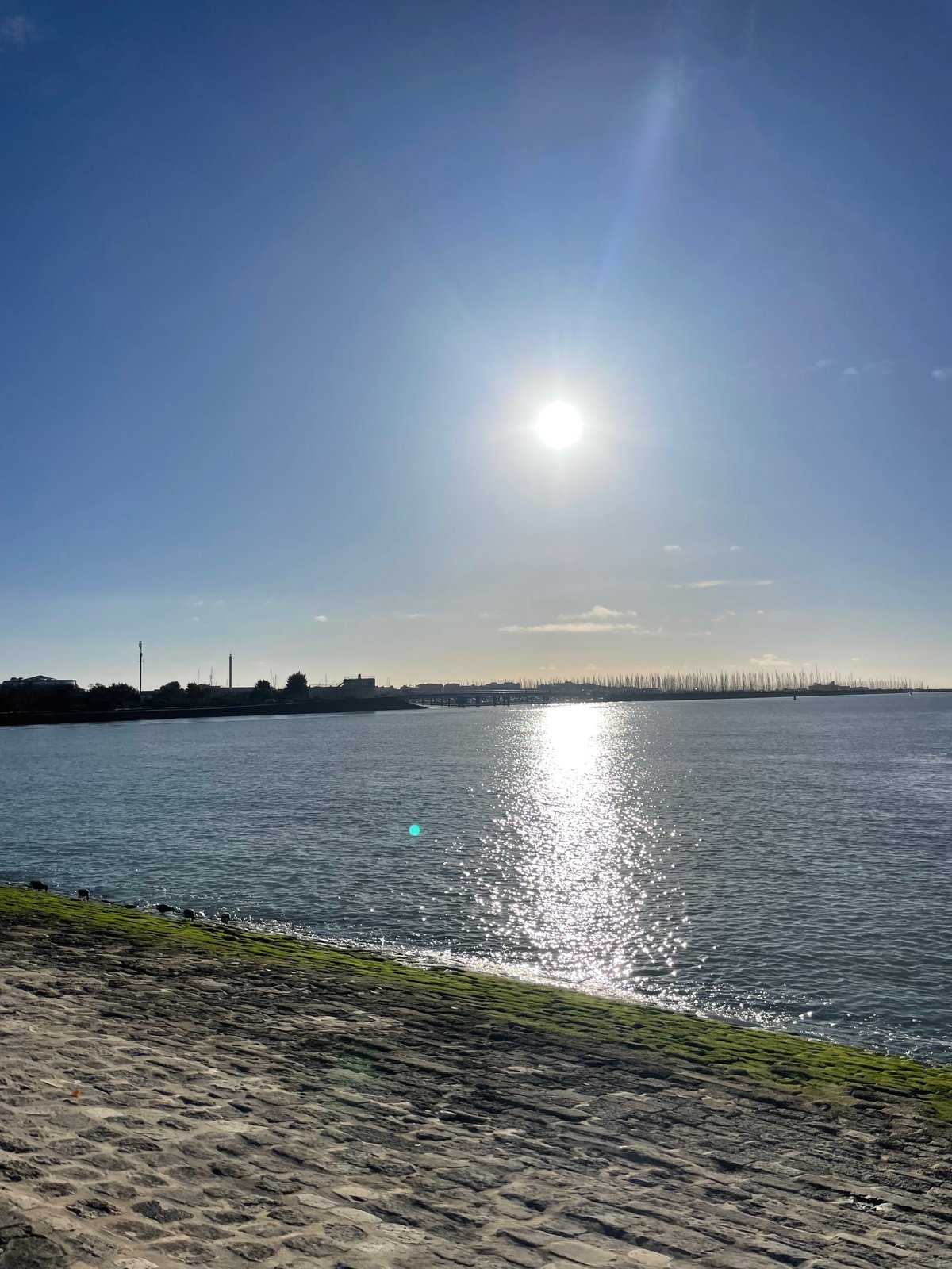 小さな町を包み込む甘くてスパイシーな気持ち｜chef ichi