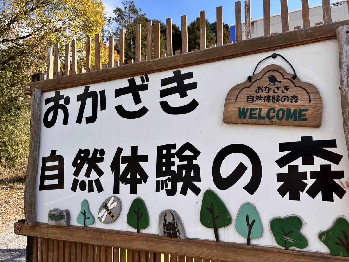 岡崎市野鳥を探す旅🐣｜ichi_graphy