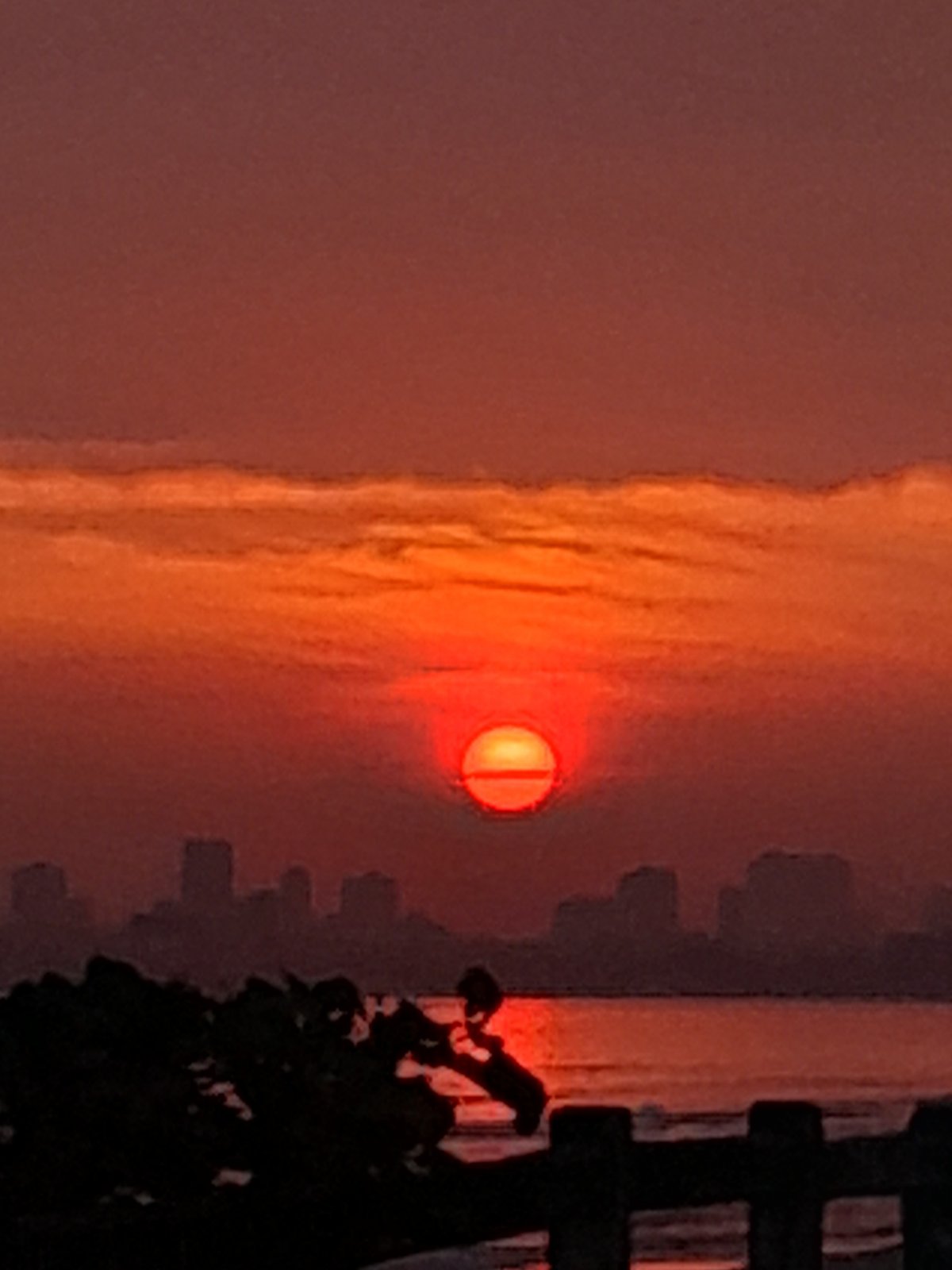 2024年 RIDE/RUN/SWIM の風景｜Ryoma Maeda