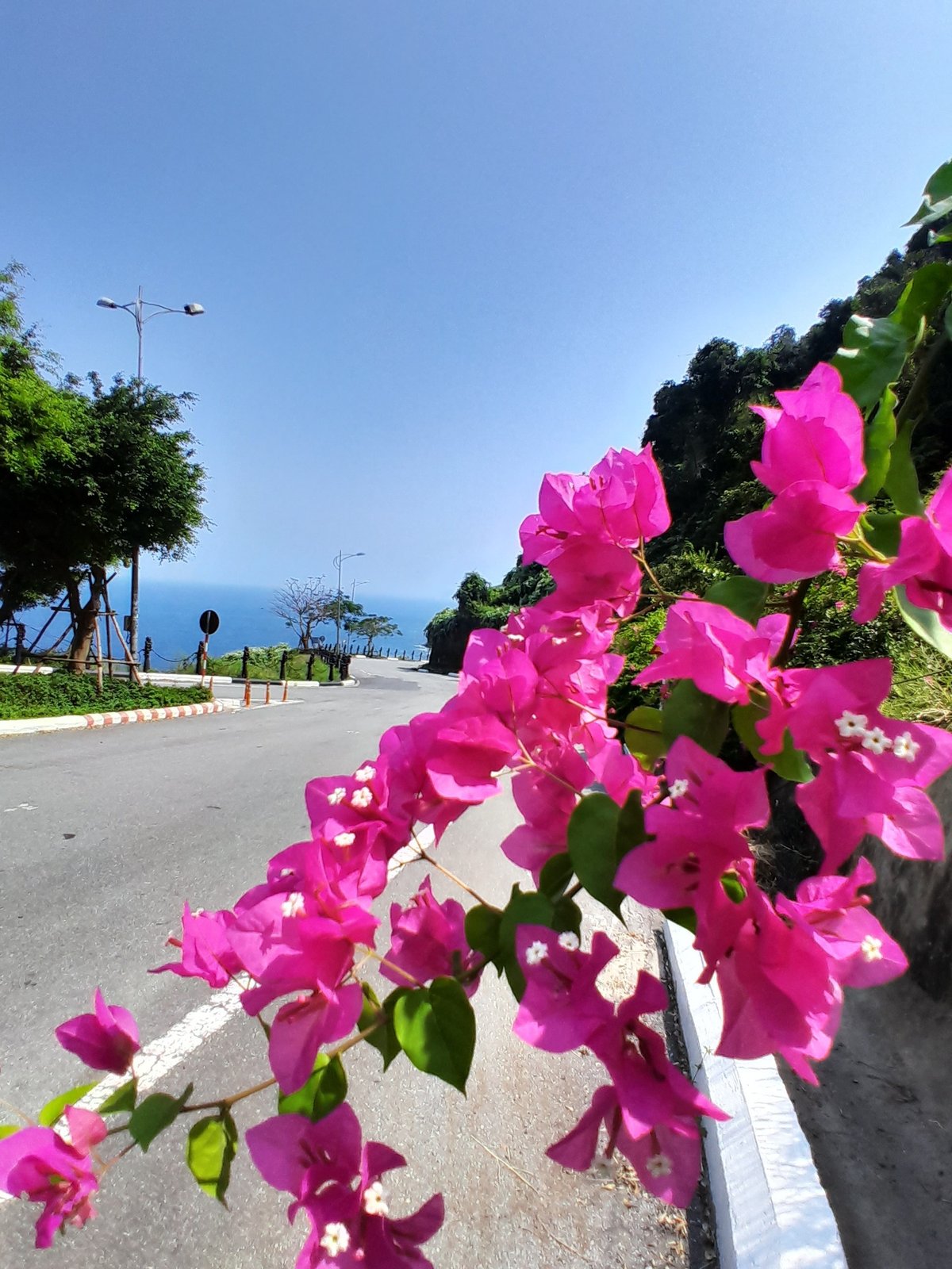 2024年 RIDE/RUN/SWIM の風景｜Ryoma Maeda