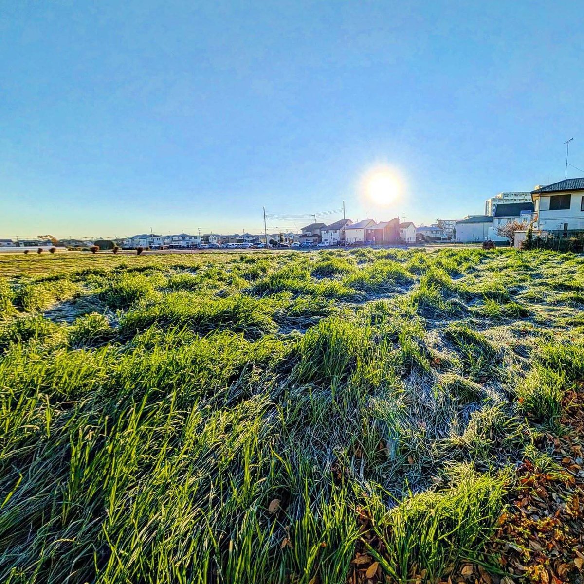 霜をかき分け 朝日に向かう｜koichi kimoto