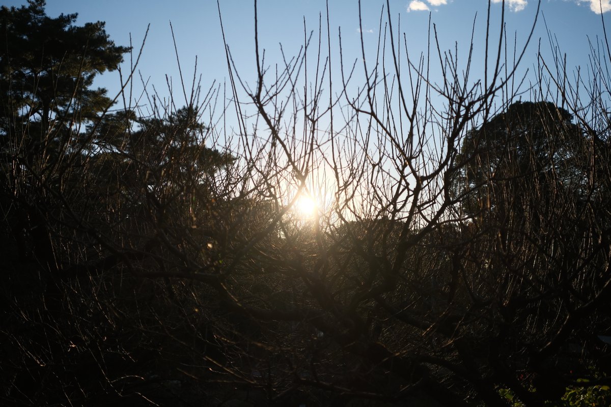 X-M5を買いました｜t_rnado