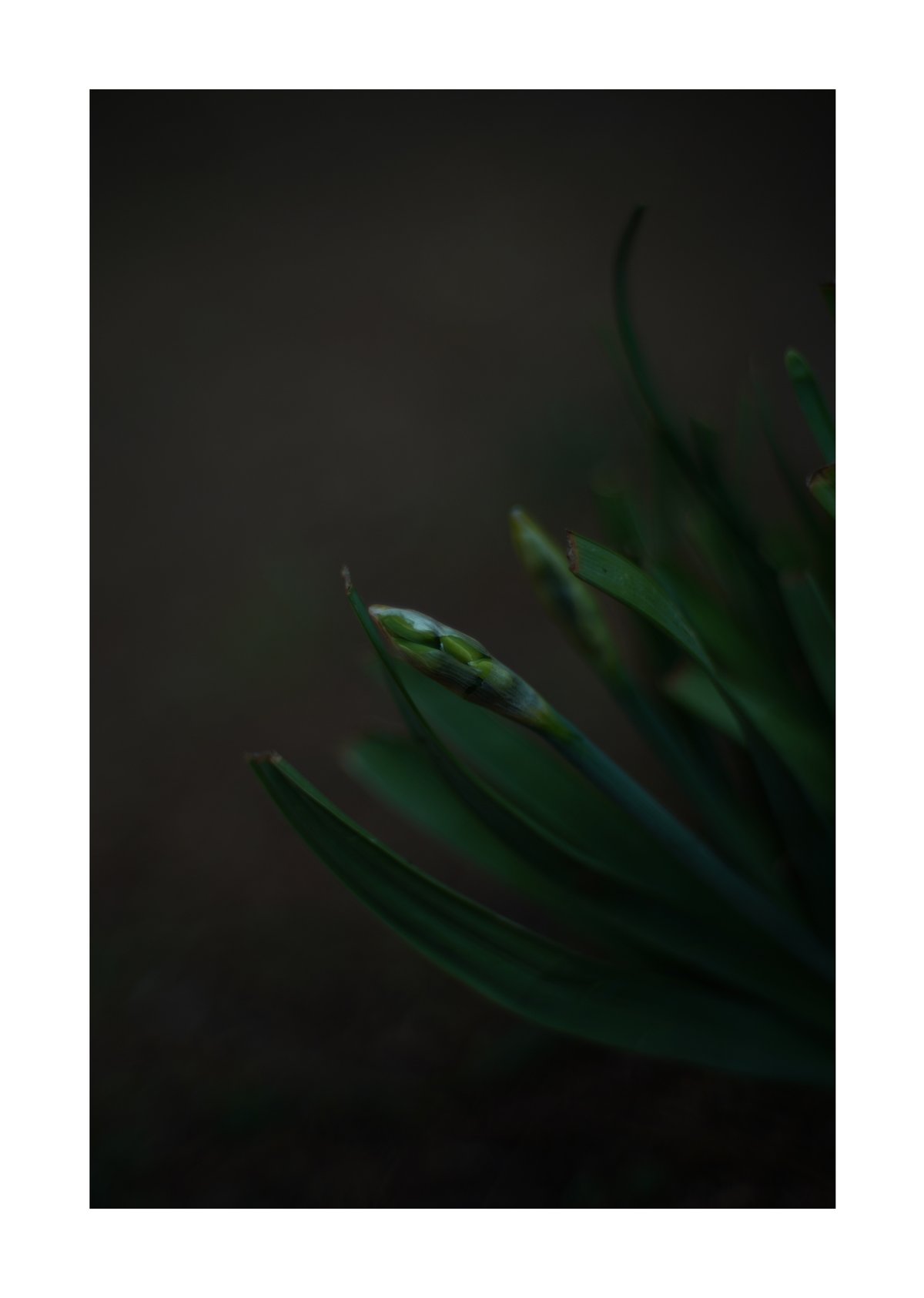 2022.11｜shin ikegami