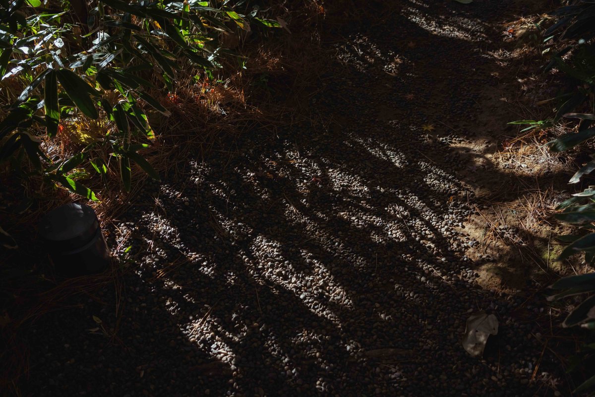 写真で呼吸する記憶_yumickychan｜manimanium