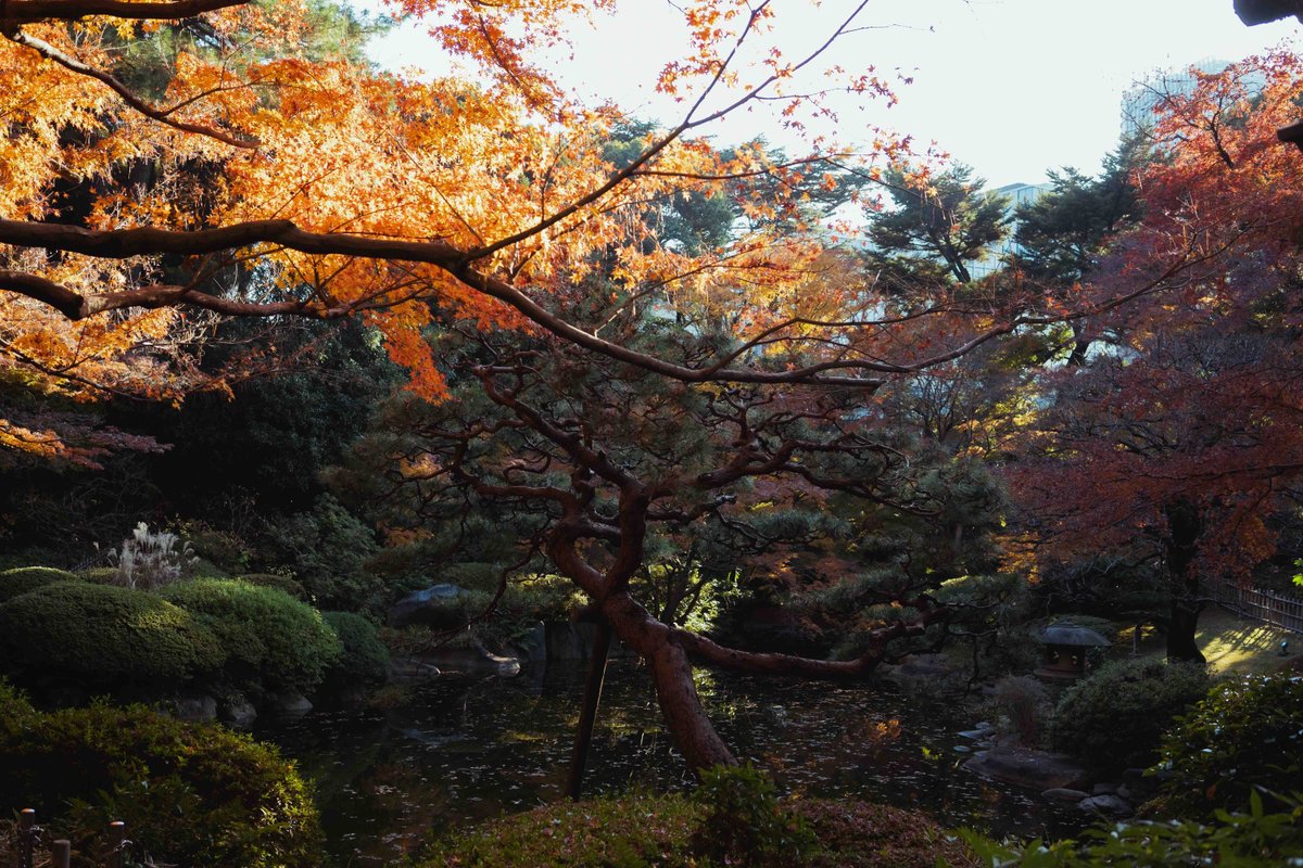 写真で呼吸する記憶_yumickychan｜manimanium