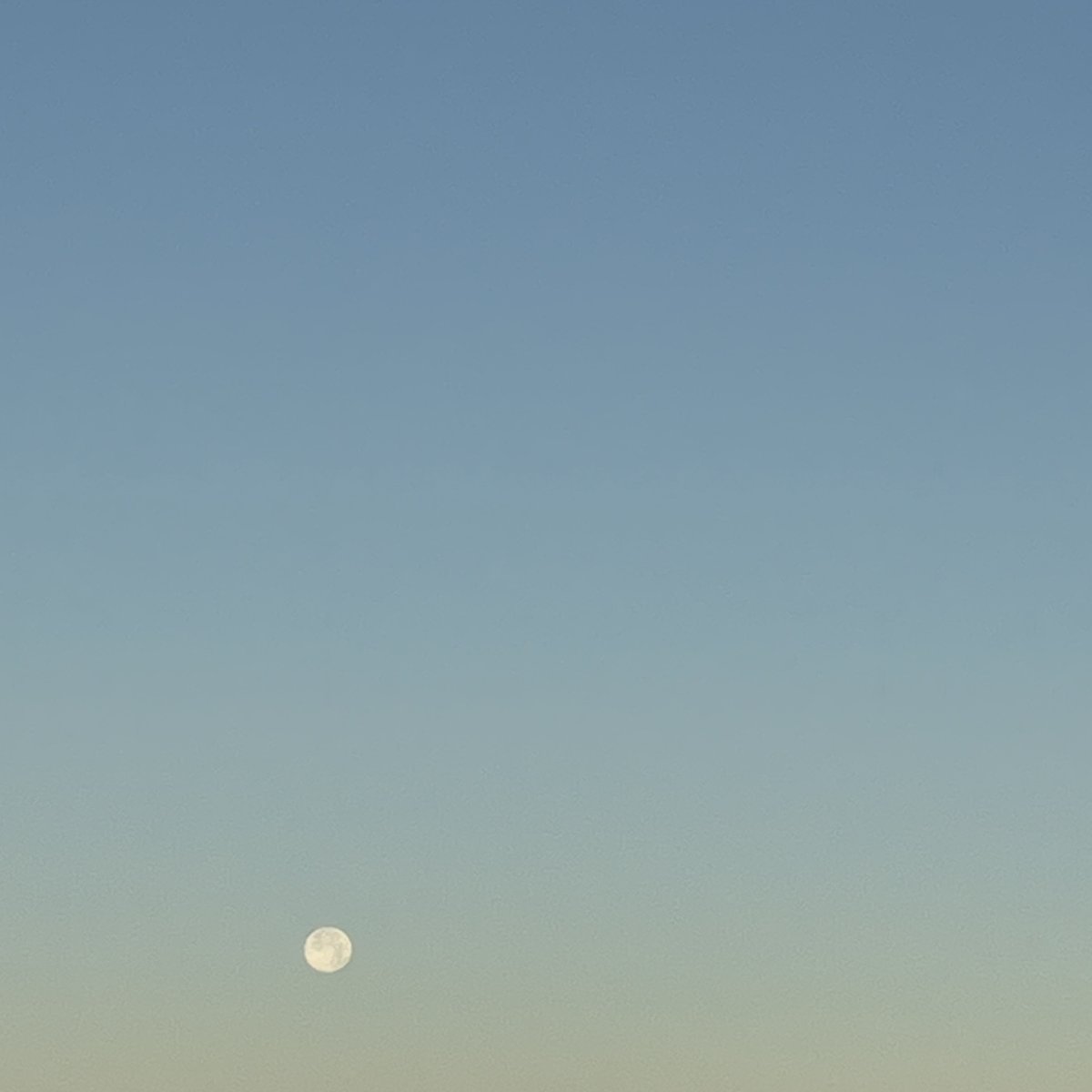 ウィンターな本たち。｜Laica