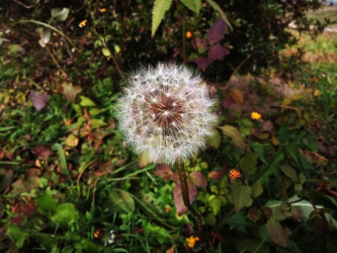 2024/12/18｜nao kamimura