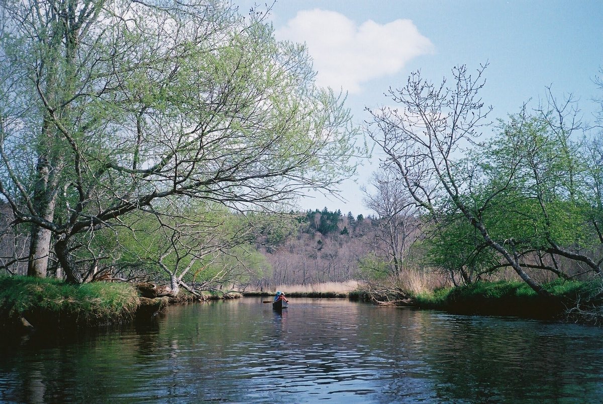 道東のすばらしさを伝える｜wakaba namiki