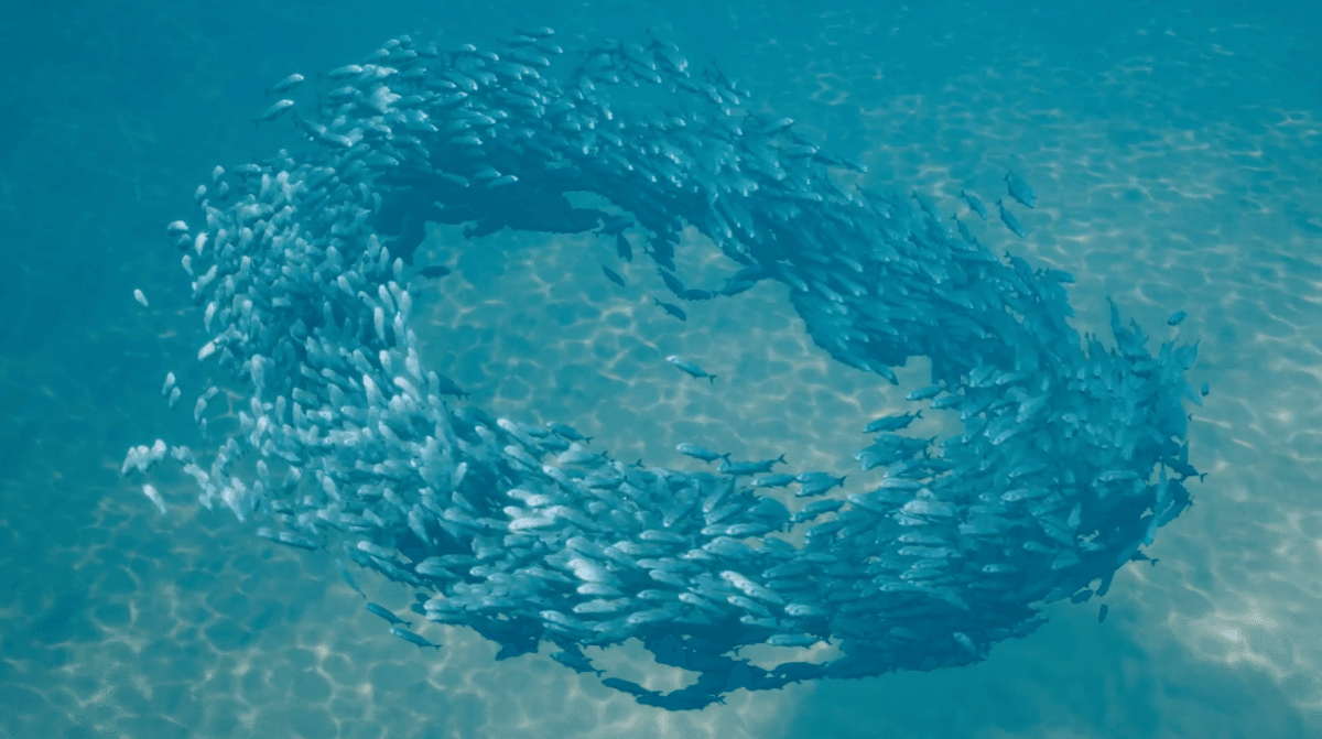 Genesis の概要｜npaka