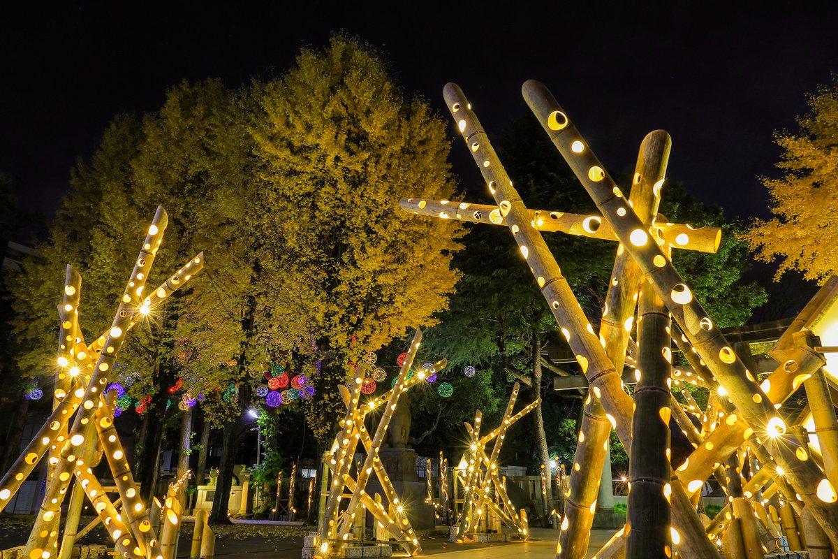 東京下町回遊 竹あかり｜Toru Shiratori