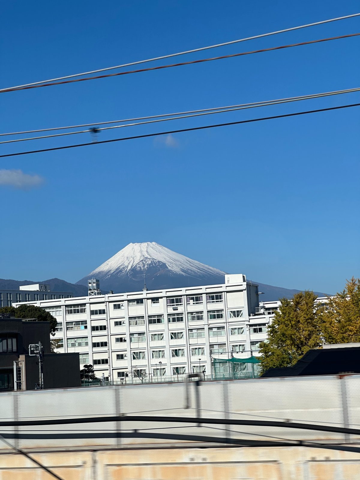 【ネ タ バ レ】【ライブメモ】tacica tour "AFTER GOLD" 2024.11.29 神戸 太陽と虎｜snview