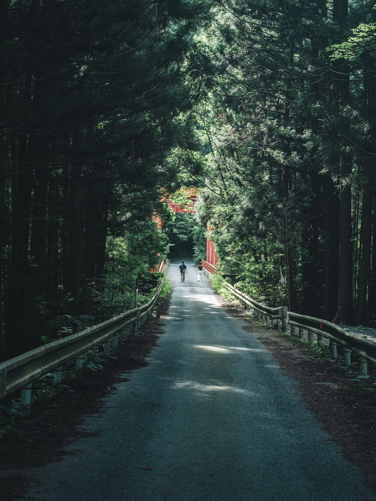 最近のおはなし/Nokton 35mm f1.2｜Rintaro Shimada