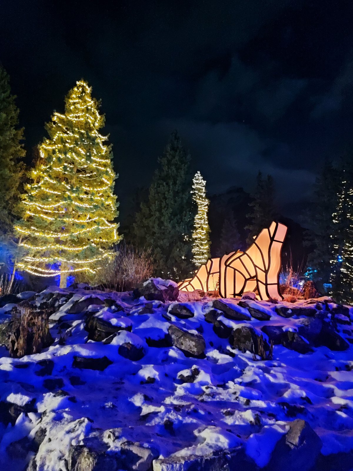 バンフのライトアップショーに行ってきました｜Ayumi ～ stay strong in 🇨🇦