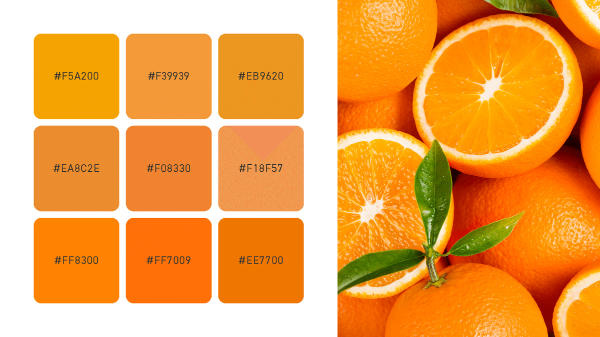 【オレンジ色のアイコンカラー】ブランドカラーにもおすすめ｜オレンジ系54色集めました！｜エダユカ｜イラストレーター
