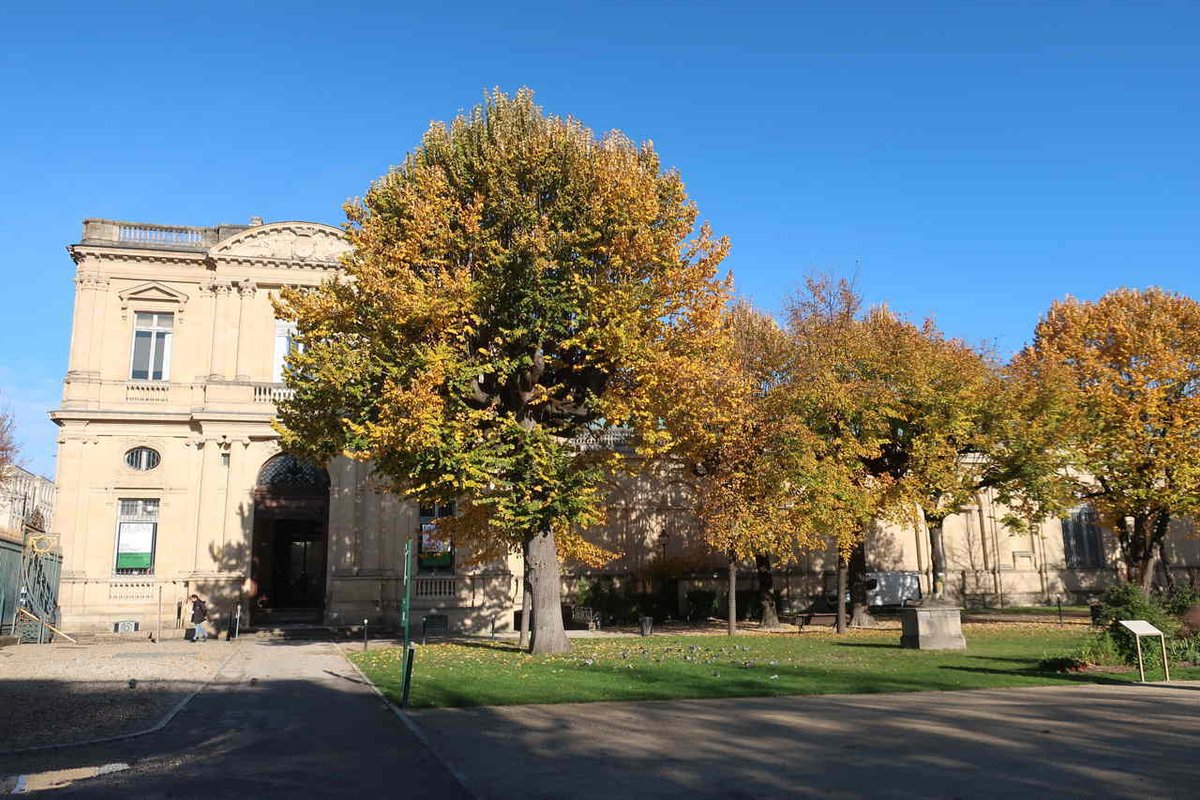 ICOMで入れるフランスのミュージアム2024（自分のための忘備録）｜Hiroko Fukuda S.