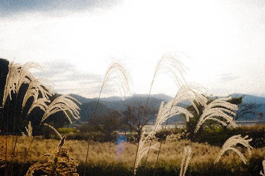 カメラ講習 vol.25 フォトマスター検定14 文化/モラル(撮影マナー)｜yano’note：カメラマン / クリエイター ️