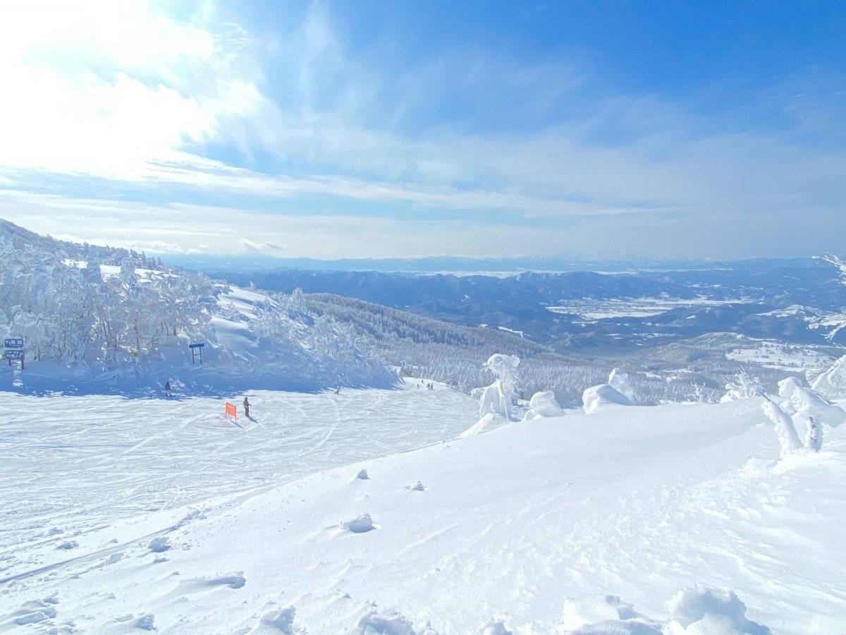 newmoのnewなひと 〜ソフトウェアエンジニア・igaryo〜｜newmo株式会社｜"移動で地域をカラフルに"