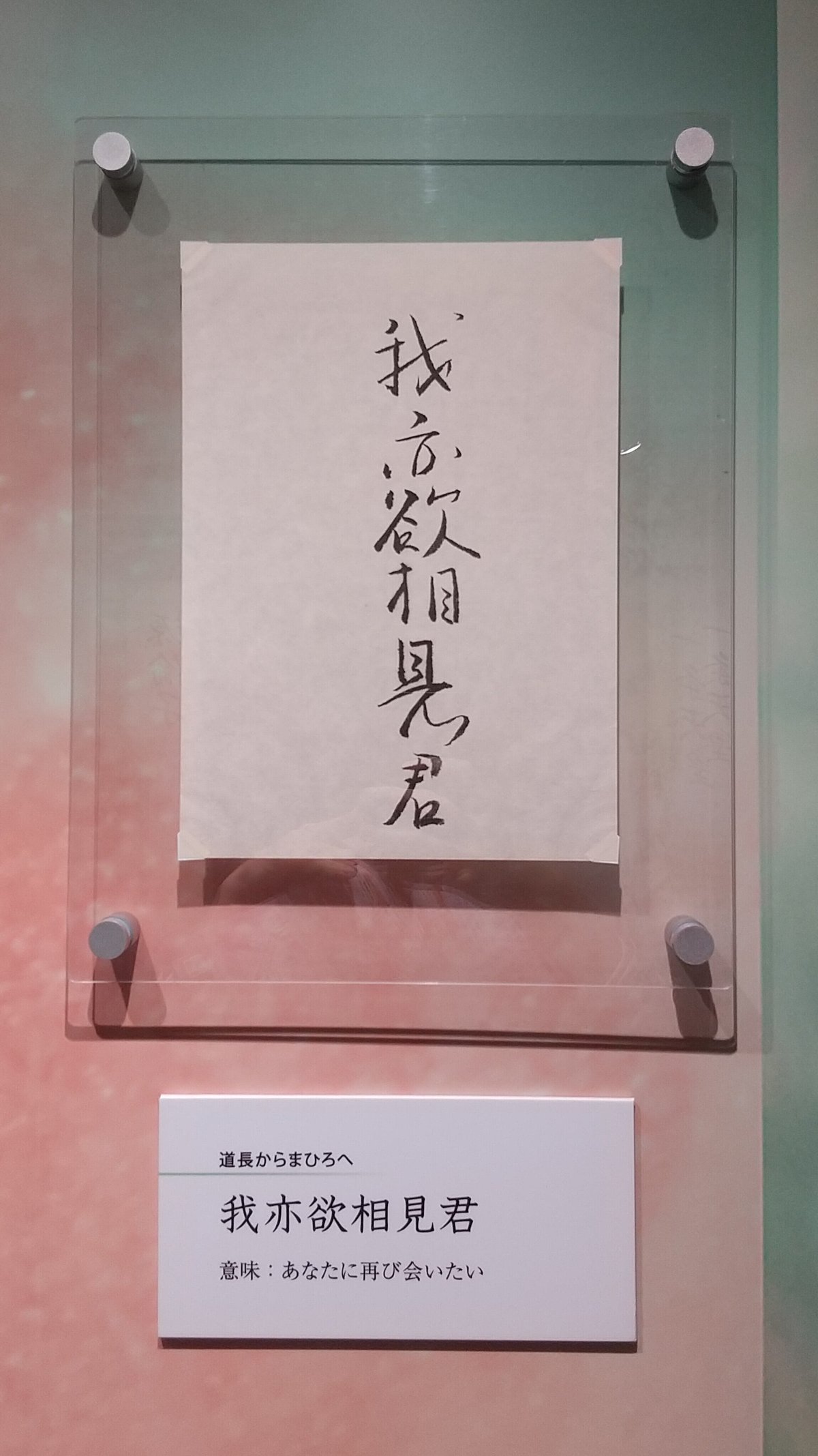 総じて、大河ドラマ│光る君×まひろ《光る君へ》の生き様を。｜柴田 真衣 / Mai Shibata