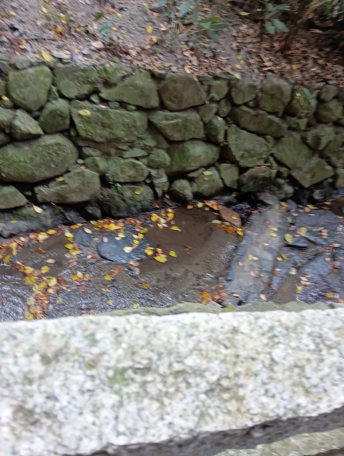 Henka｜HARUHAYA