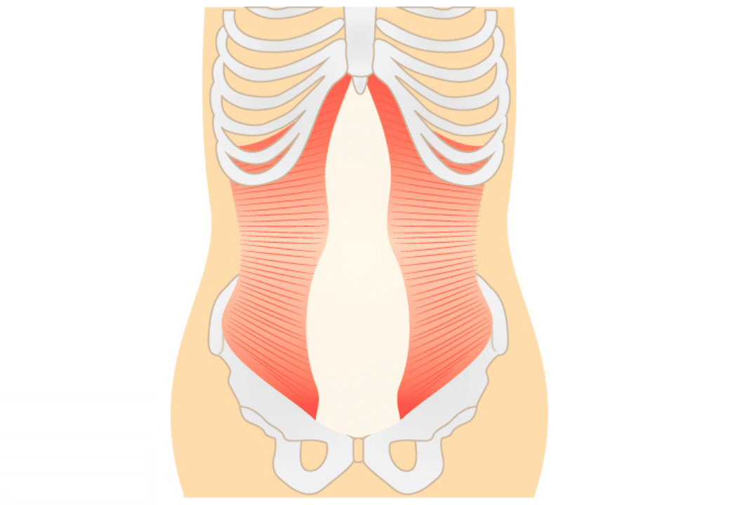 【モデルレッスン】ボディメイク 腹筋｜Friday LABO