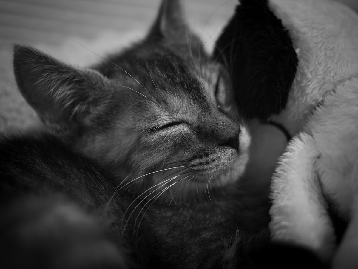 久しぶりnote｜TSUYOSHI