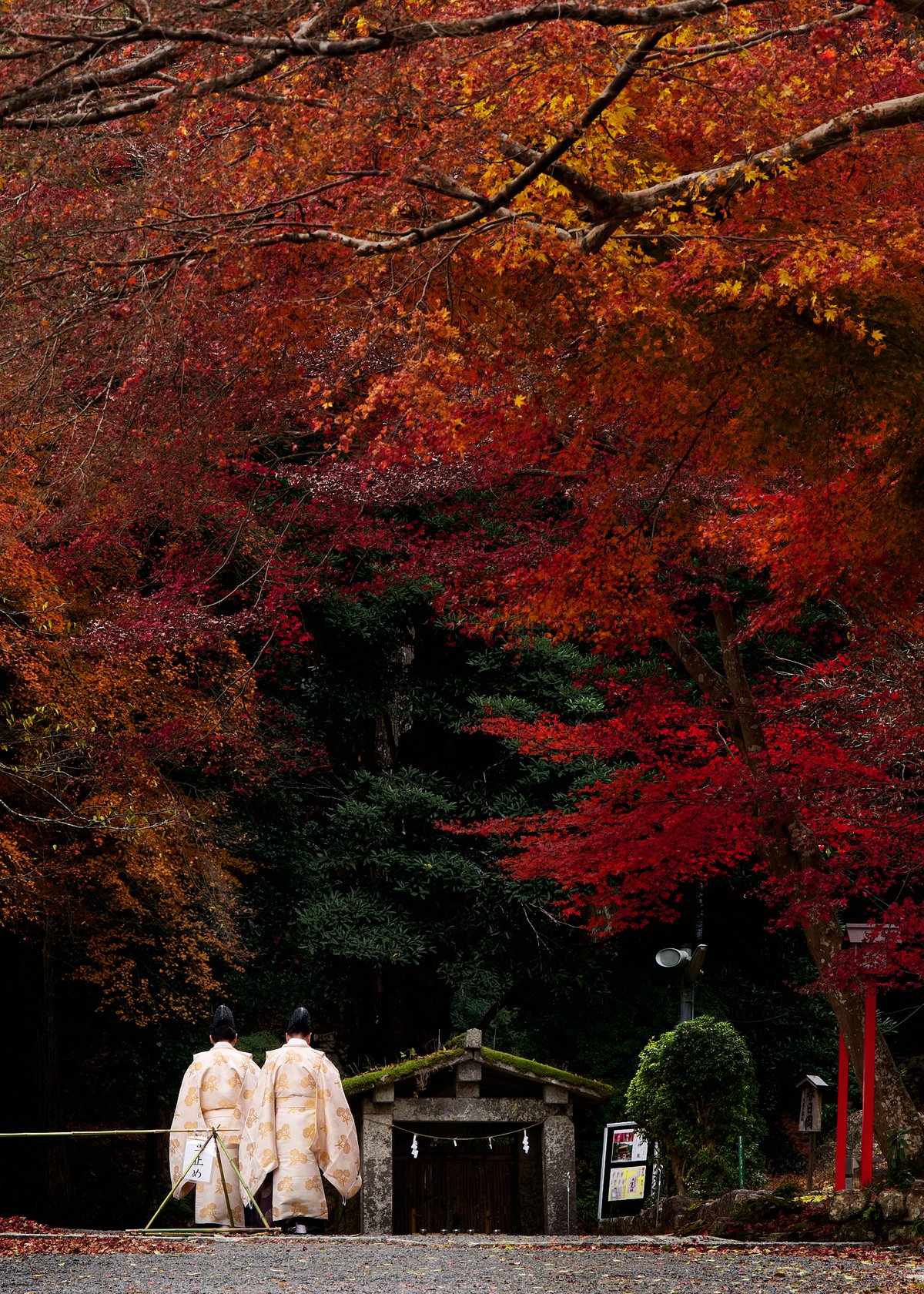 頑張って｜005 akkiy