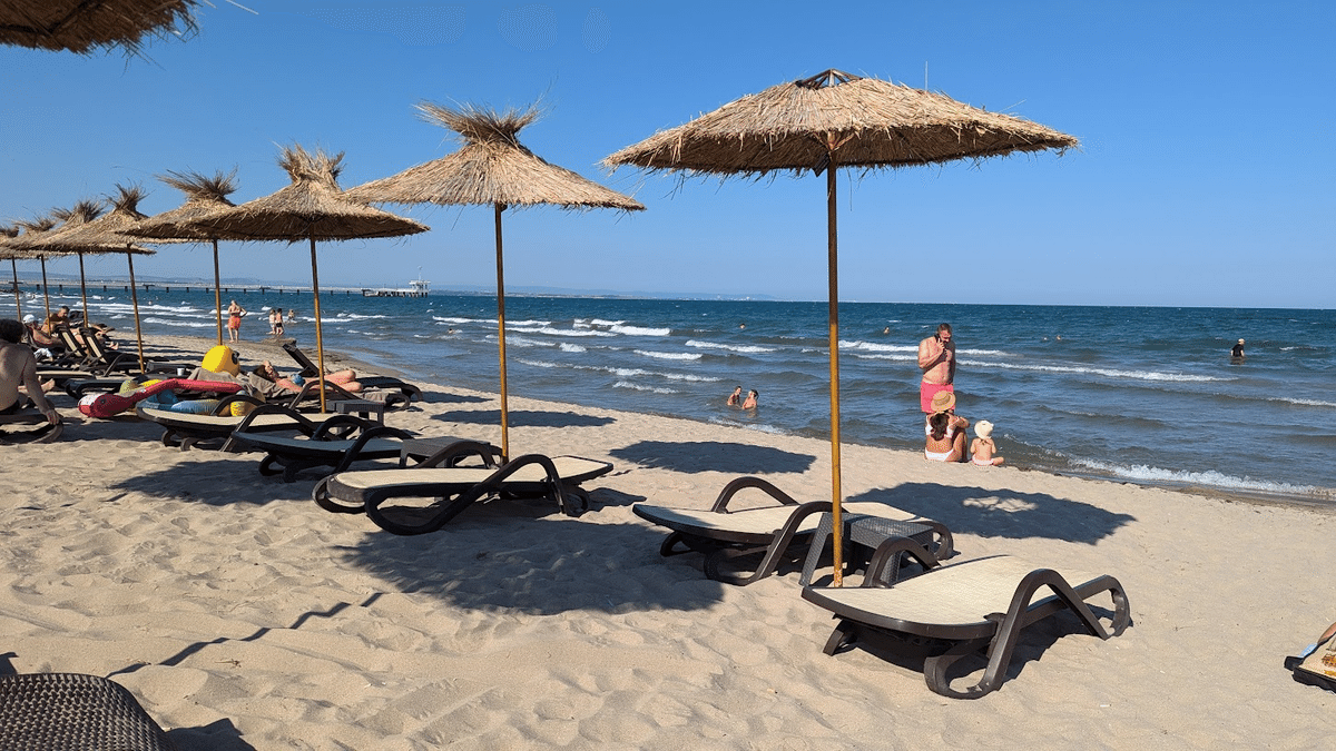 IOAI2024参加記｜JOAI 日本人工知能オリンピック