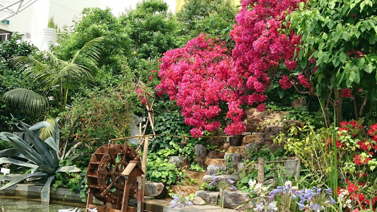 自己紹介｜Tavii.Lavi.Aile_note