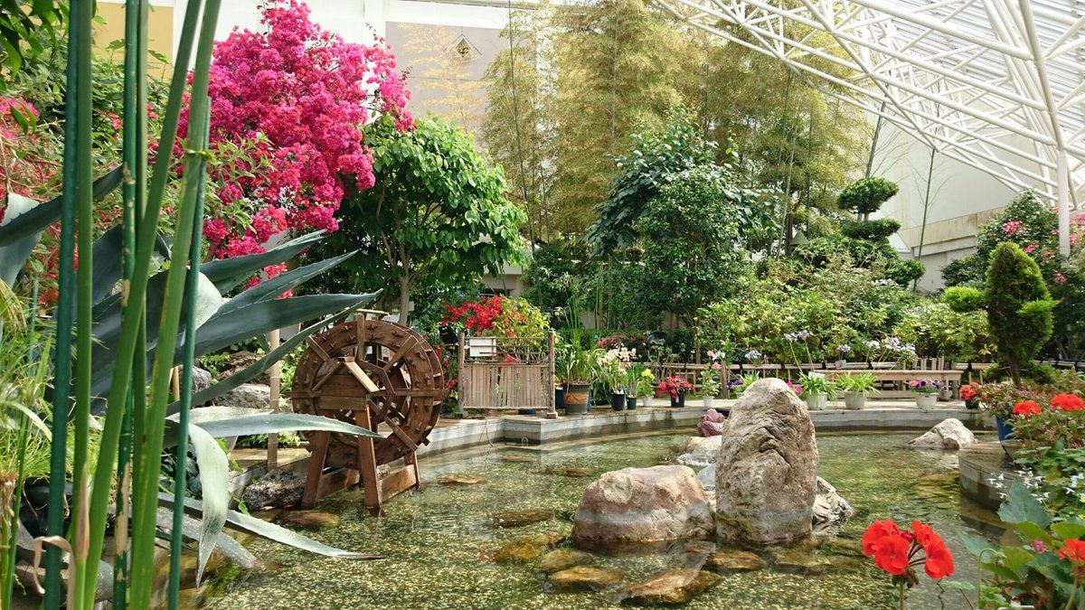 自己紹介｜Tavii.Lavi.Aile_note