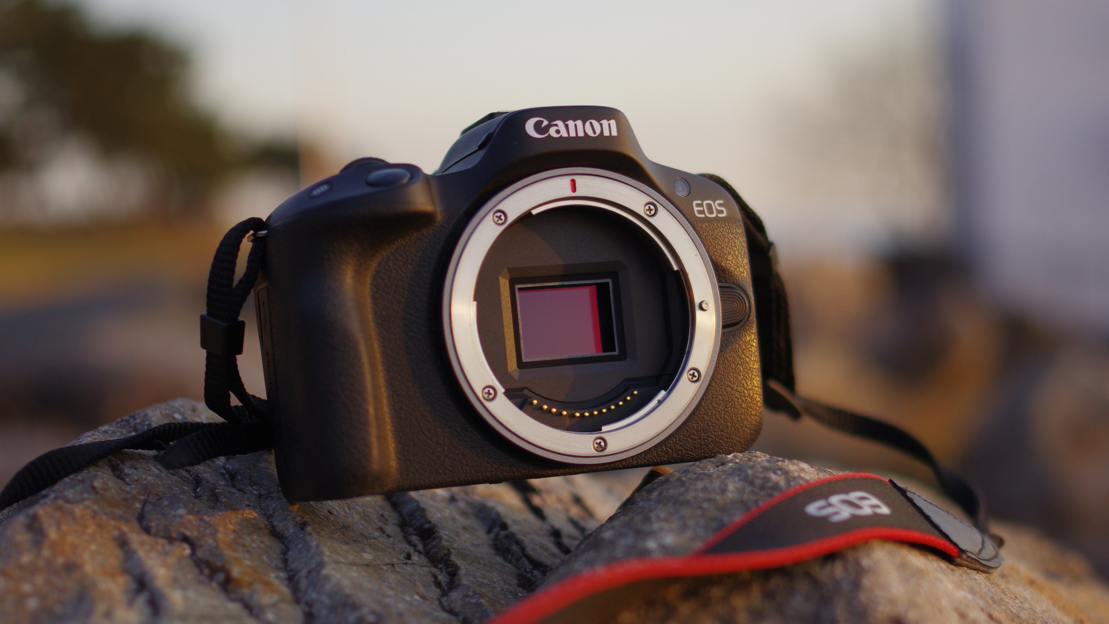 8万円のシネマカメラ - EOS R50-|宍戸 佳希 8万円のシネマカメラ - EOS R50-|宍戸 佳希