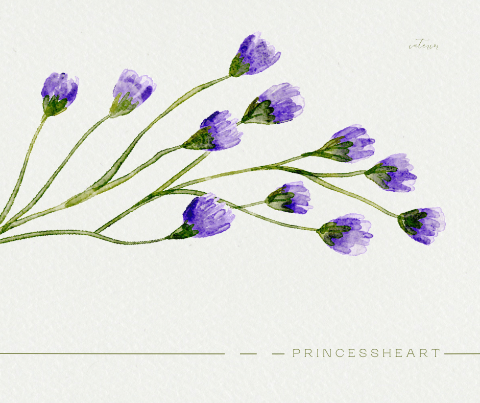 デイジー2P（IV)リビング大人のこだわり。🤍｜RIE