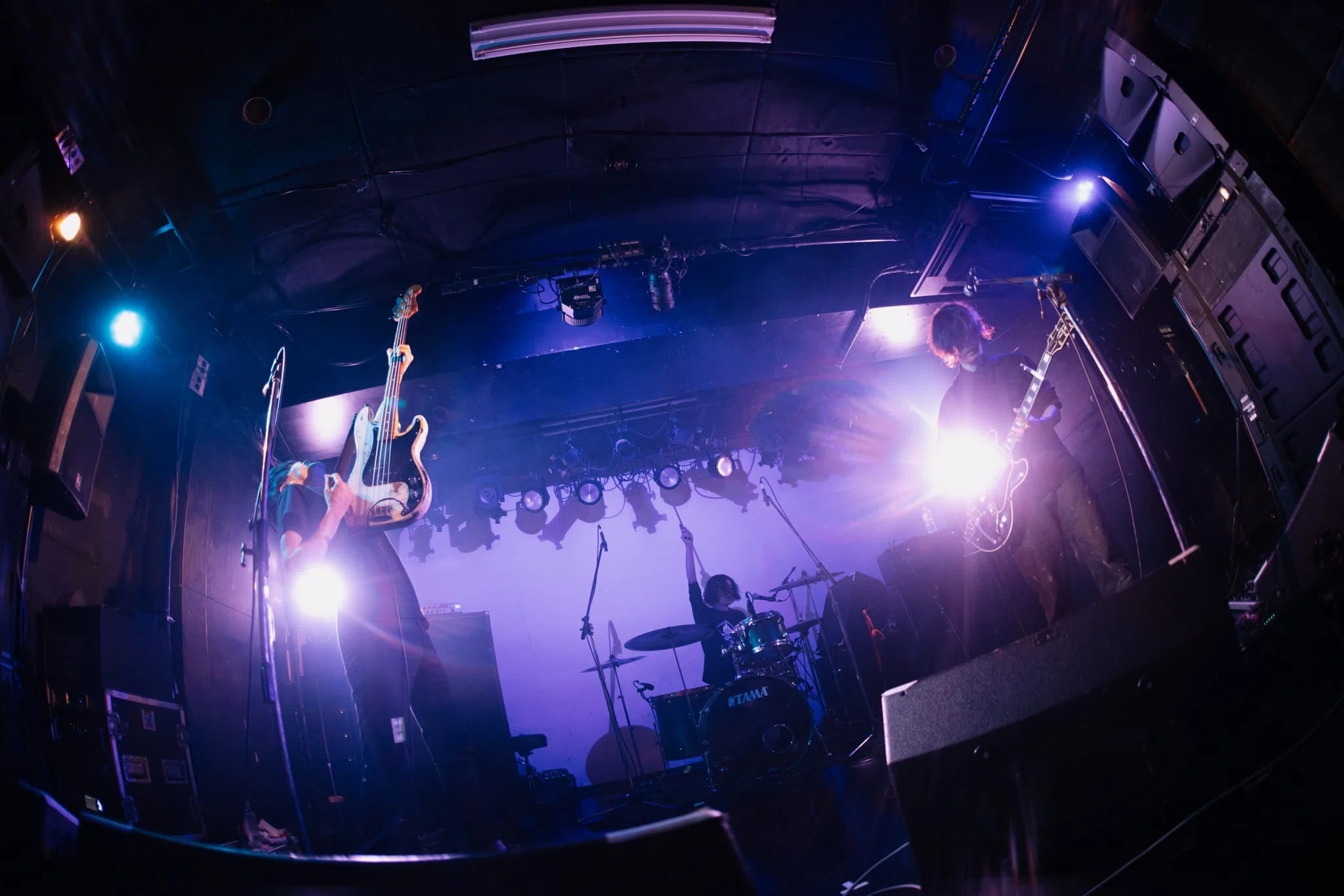divergent vol.4 live photo：elephant｜しおんぬ