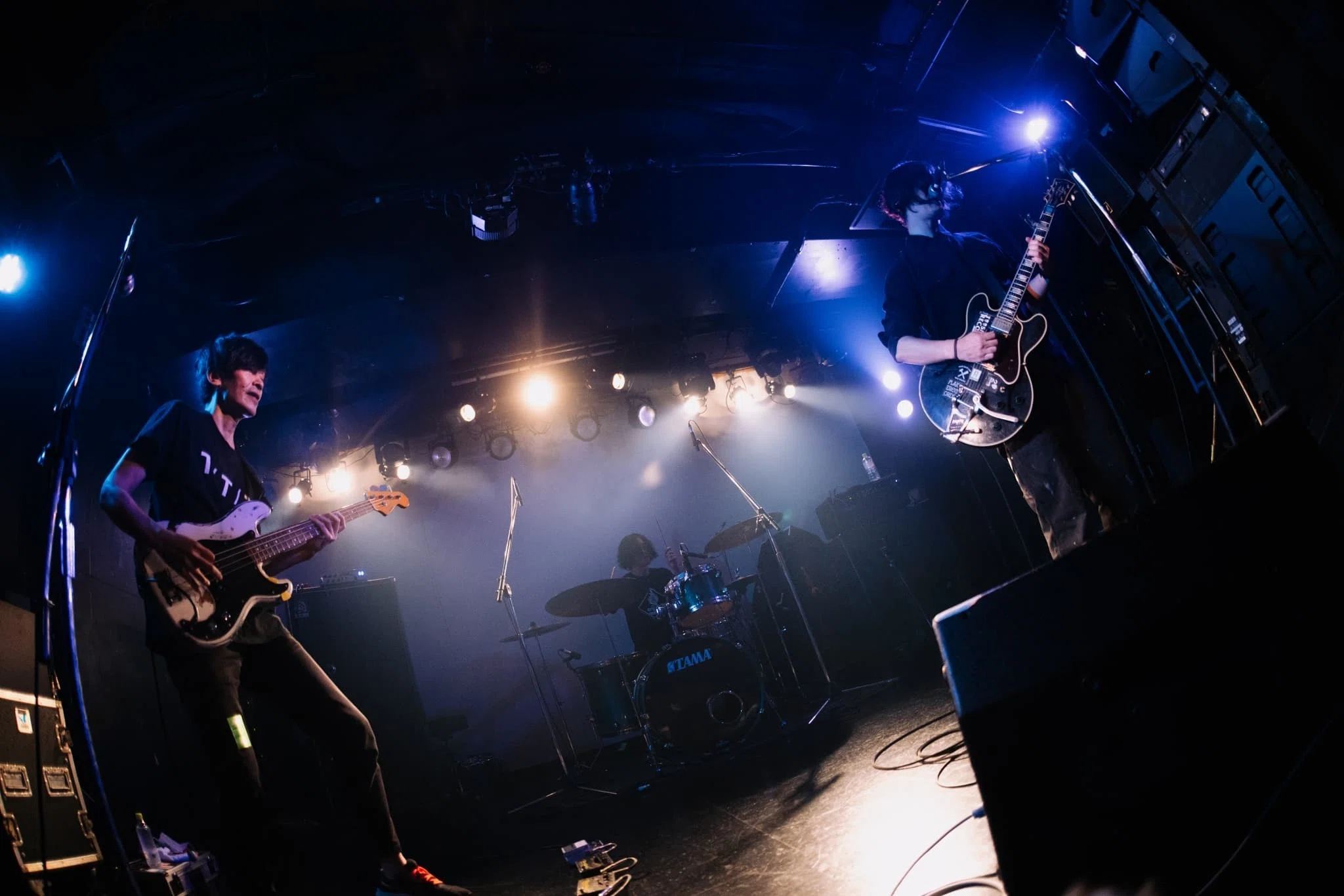divergent vol.4 live photo：elephant｜しおんぬ