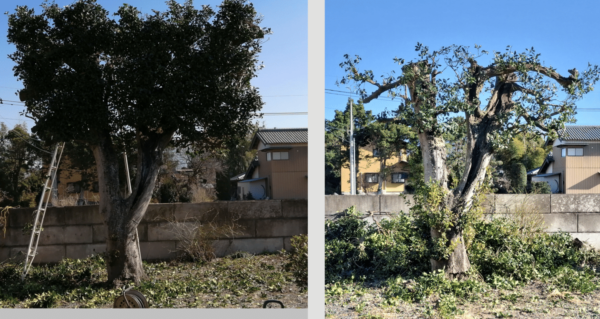 これはぎっくり腰？｜cyo99