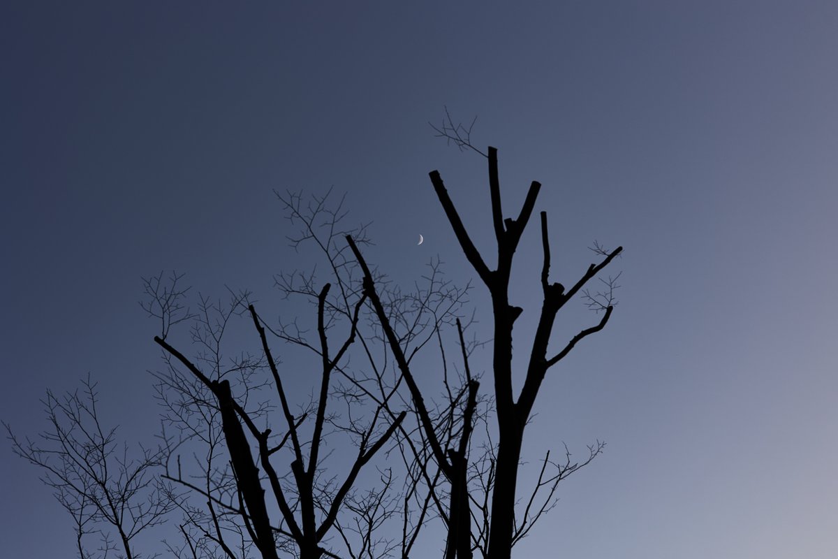 2024年の機材振り返り｜sunny teddy